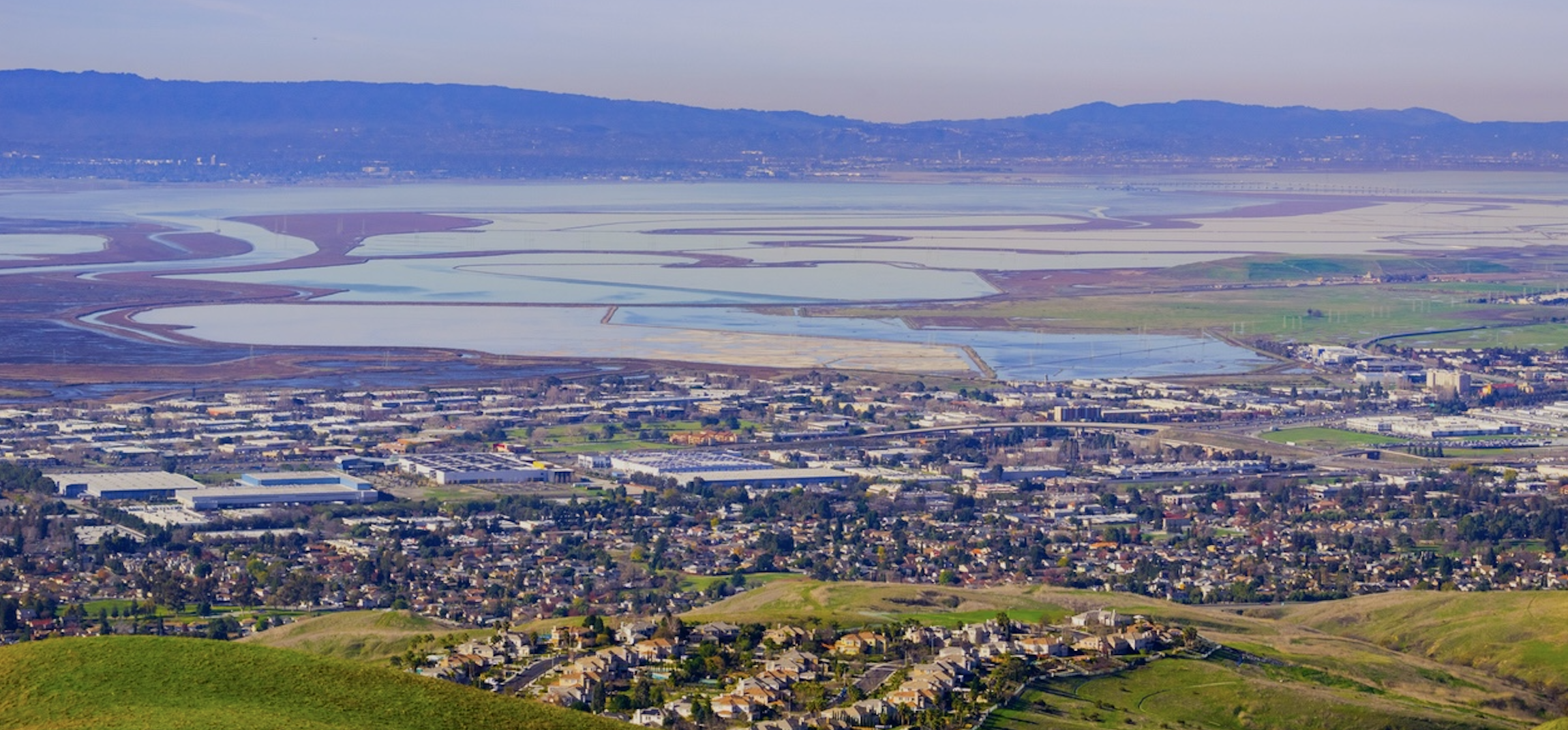 Intelligent Document Processing News: Weekly Recap